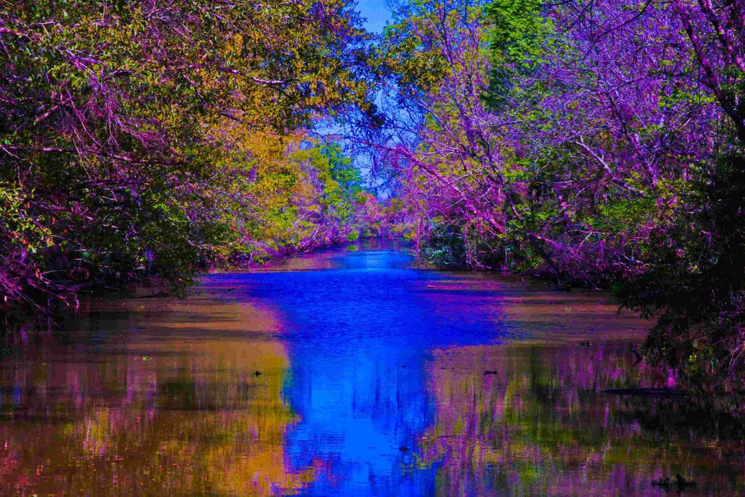 Surreal Blue Bayou Print: Vibrant Colors of a Dreamy Swamp Scene - Etsy