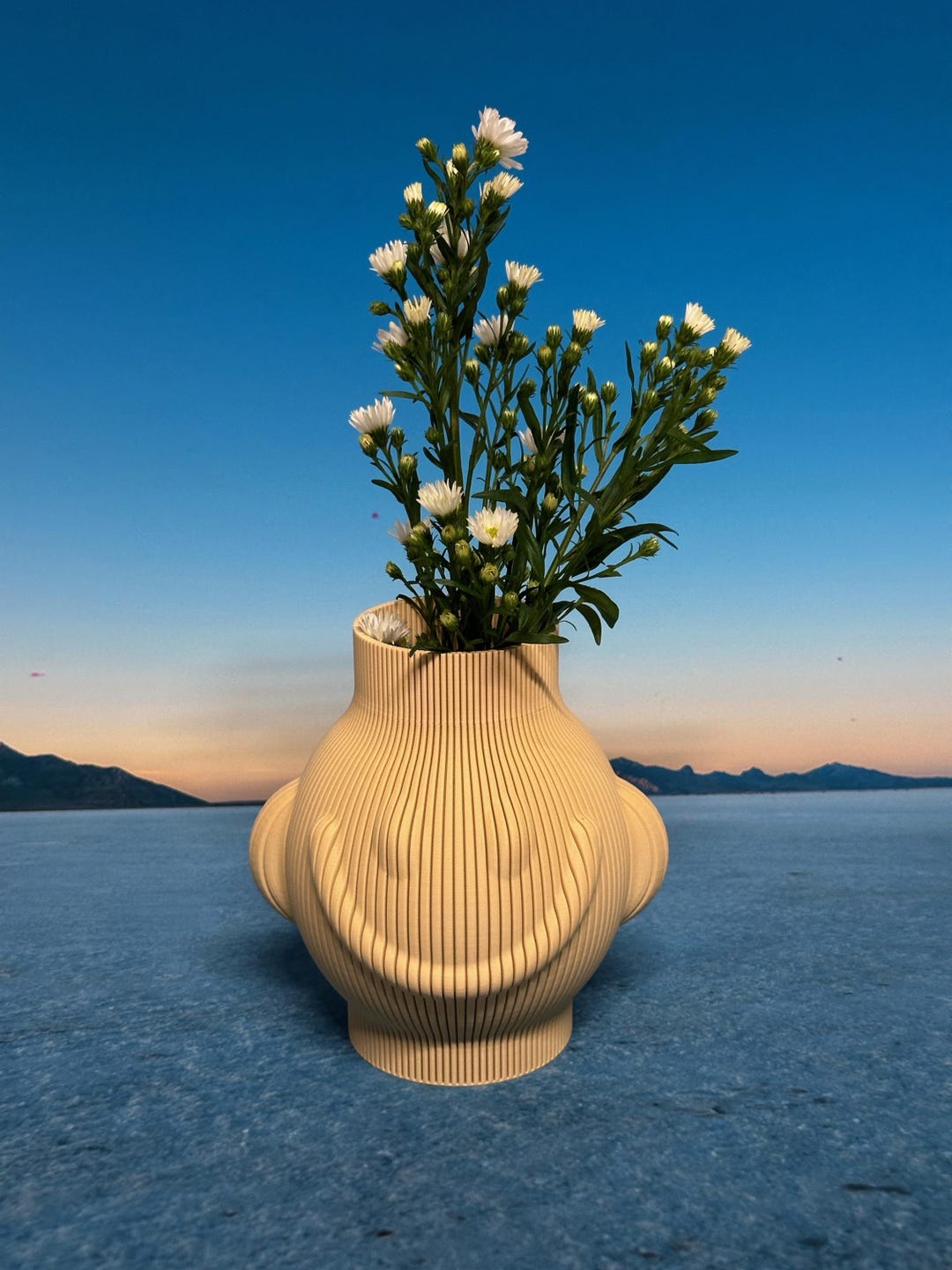 Smiley Vase - Etsy