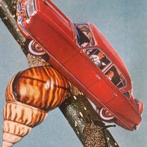 Road Trip, Original Paper Collage Artwork, Snail Collage Artwork ...