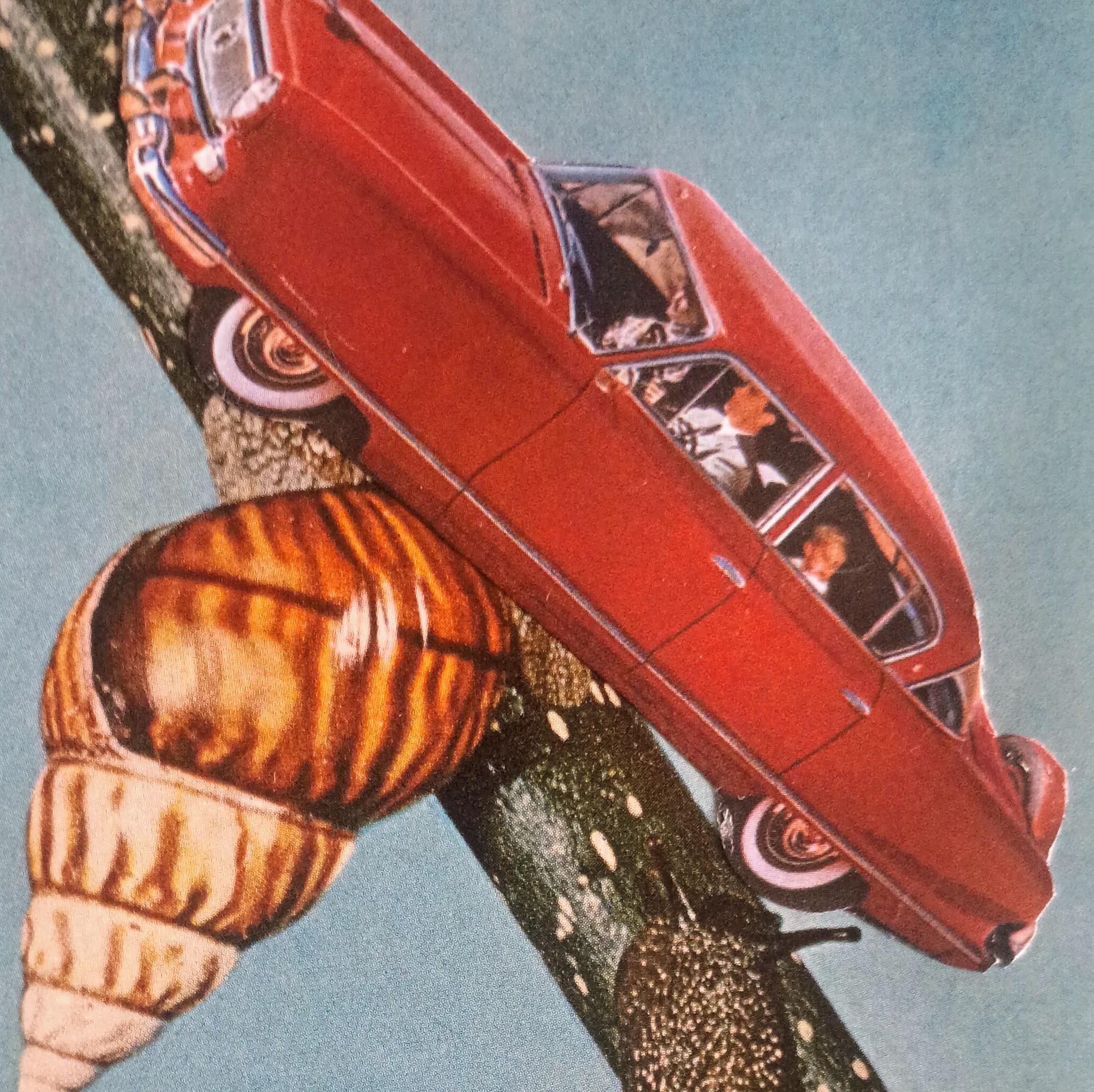 Road Trip, Original Paper Collage Artwork, Snail Collage Artwork ...