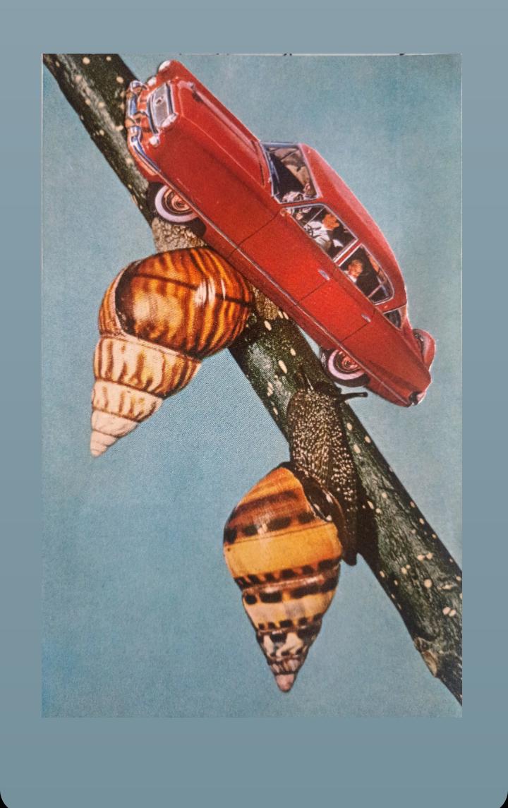 Road Trip, Original Paper Collage Artwork, Snail Collage Artwork ...
