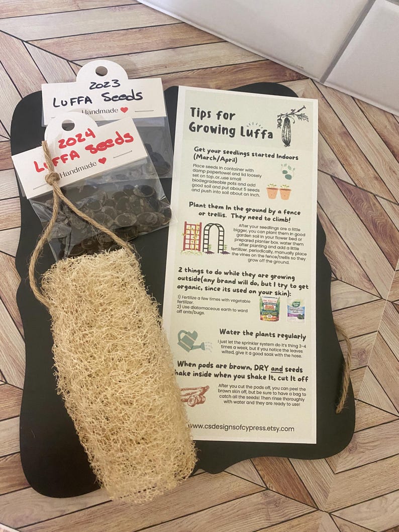 Luffa Seeds! Approximately 50 Seeds, Small Luffa and Instruction Sheet ...