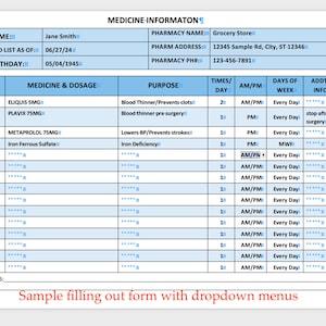 Medicine List Fill in Form for WORD or Printable - Etsy