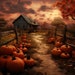 Fall Pumpkin Image Pack - Etsy