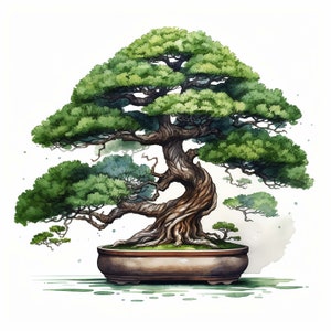 Watercolor Bonsai Tree Clipart, Asian Clipart Tree Sublimation Tree ...