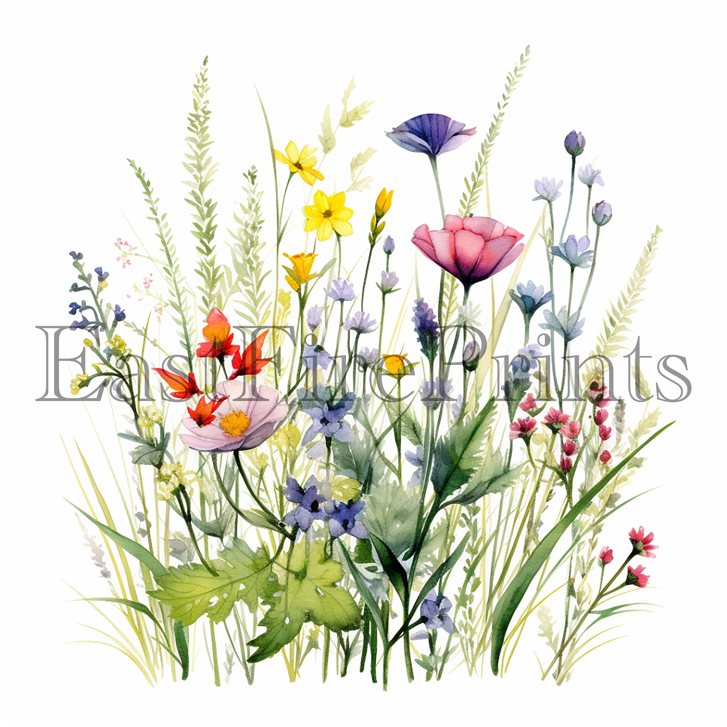 Watercolor Wildflowers Clipart High Quality Png Floral - Etsy
