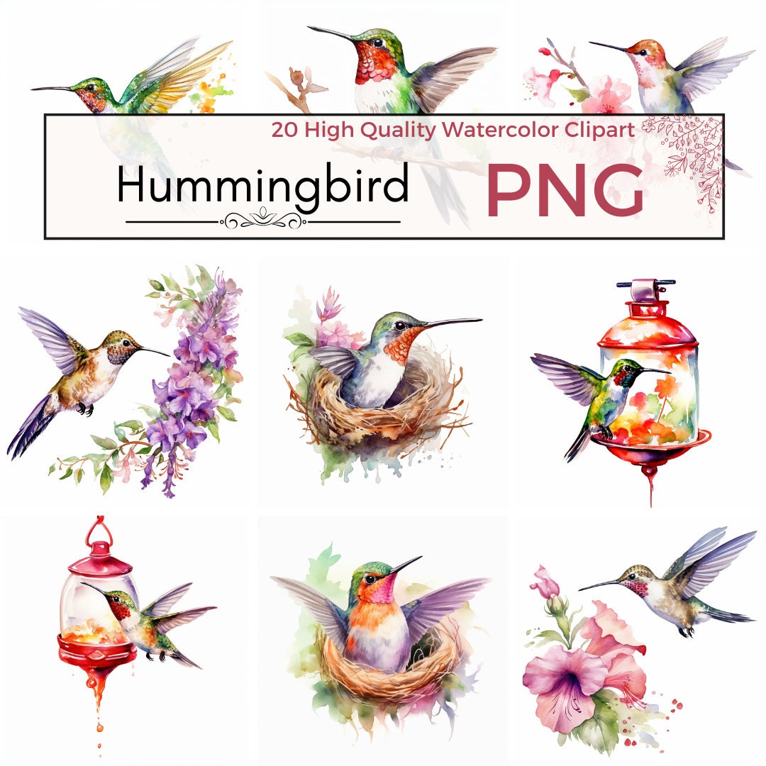 20 Watercolor Hummingbird Clipart PNG Format, Springtime Cute Birds ...