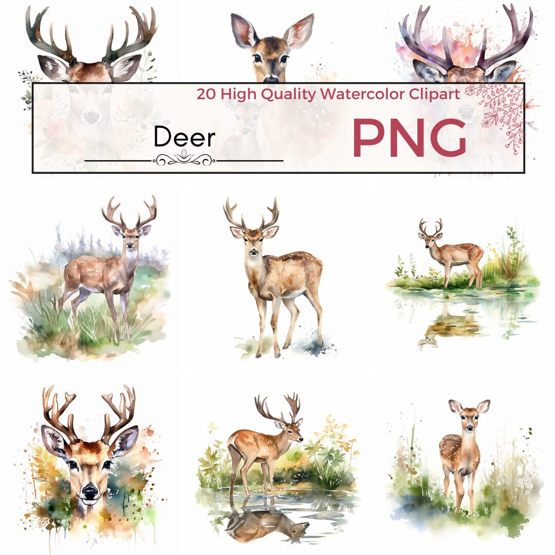20 Watercolor Deer Clipart Bundle | Little Deer, Cute Deer PNG ...