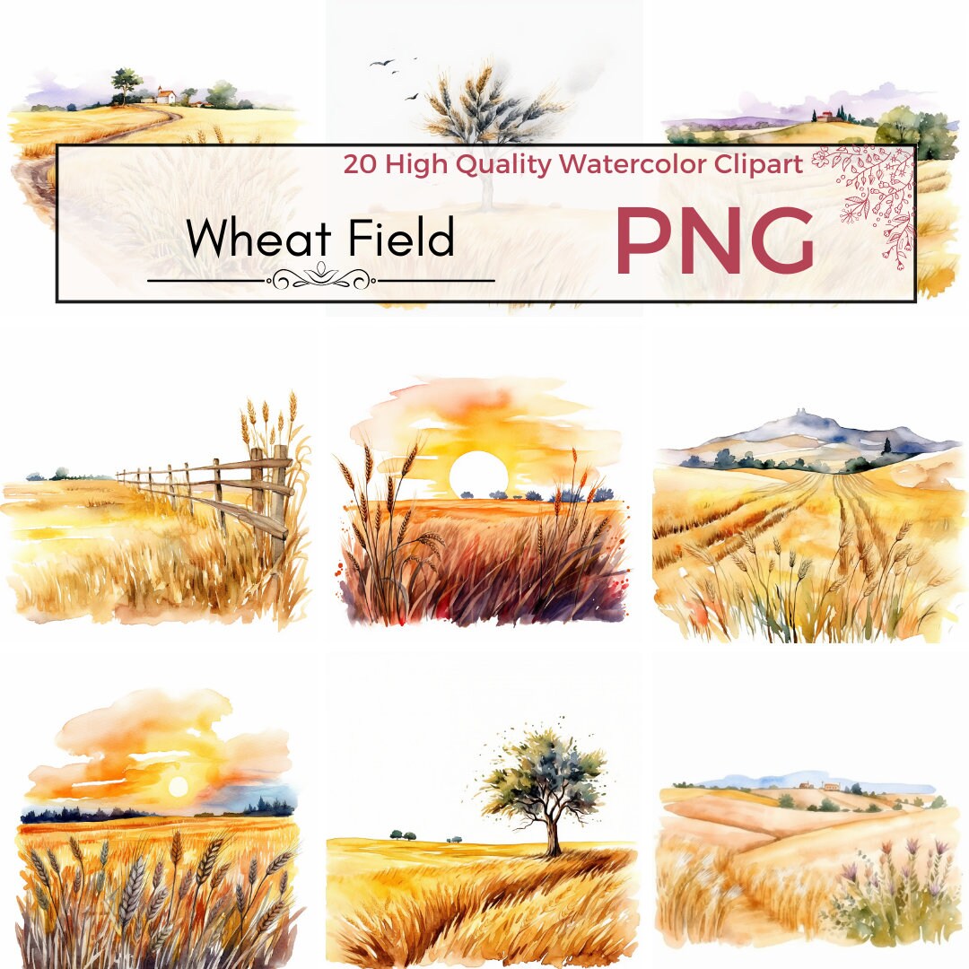 Wheat Field Clipart Png