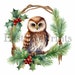 Watercolor Christmas Owl Clipart High Quality Png Cute Owl - Etsy