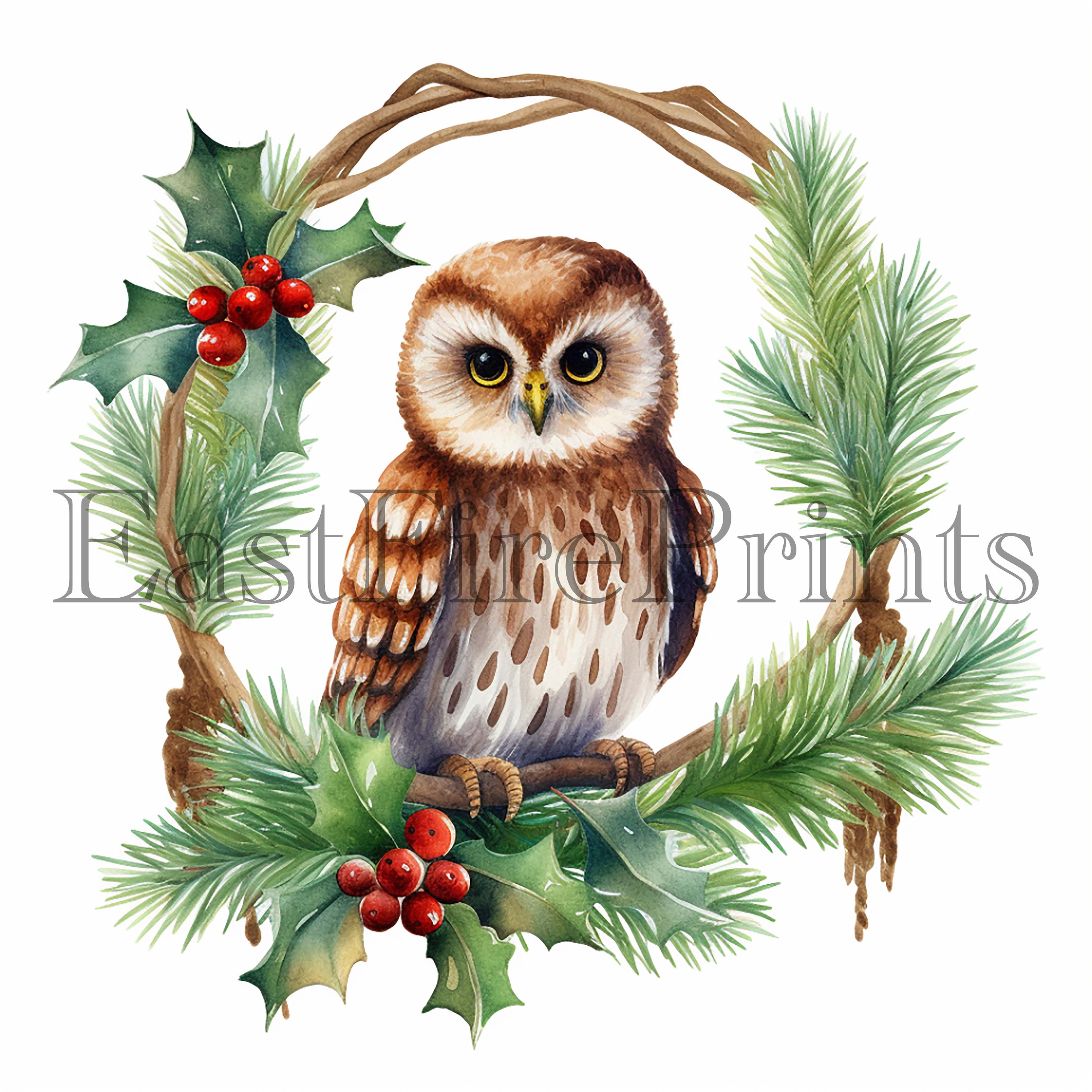 Watercolor Christmas Owl Clipart High Quality Png Cute Owl - Etsy
