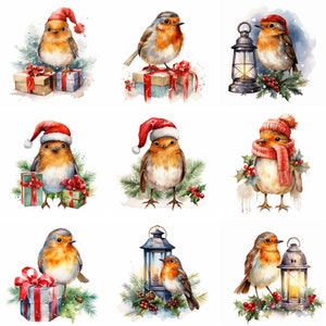 Christmas Robin Clipart, High Quality PNG, Christmas Clipart, Digital ...