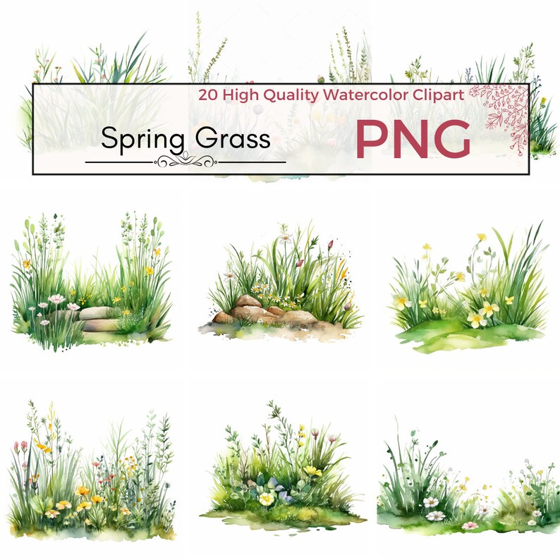 20 Watercolor Spring Grass Clipart Set Grass Illustrations - Etsy