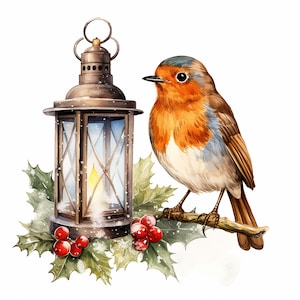 Christmas Robin Clipart, High Quality PNG, Christmas Clipart, Digital ...