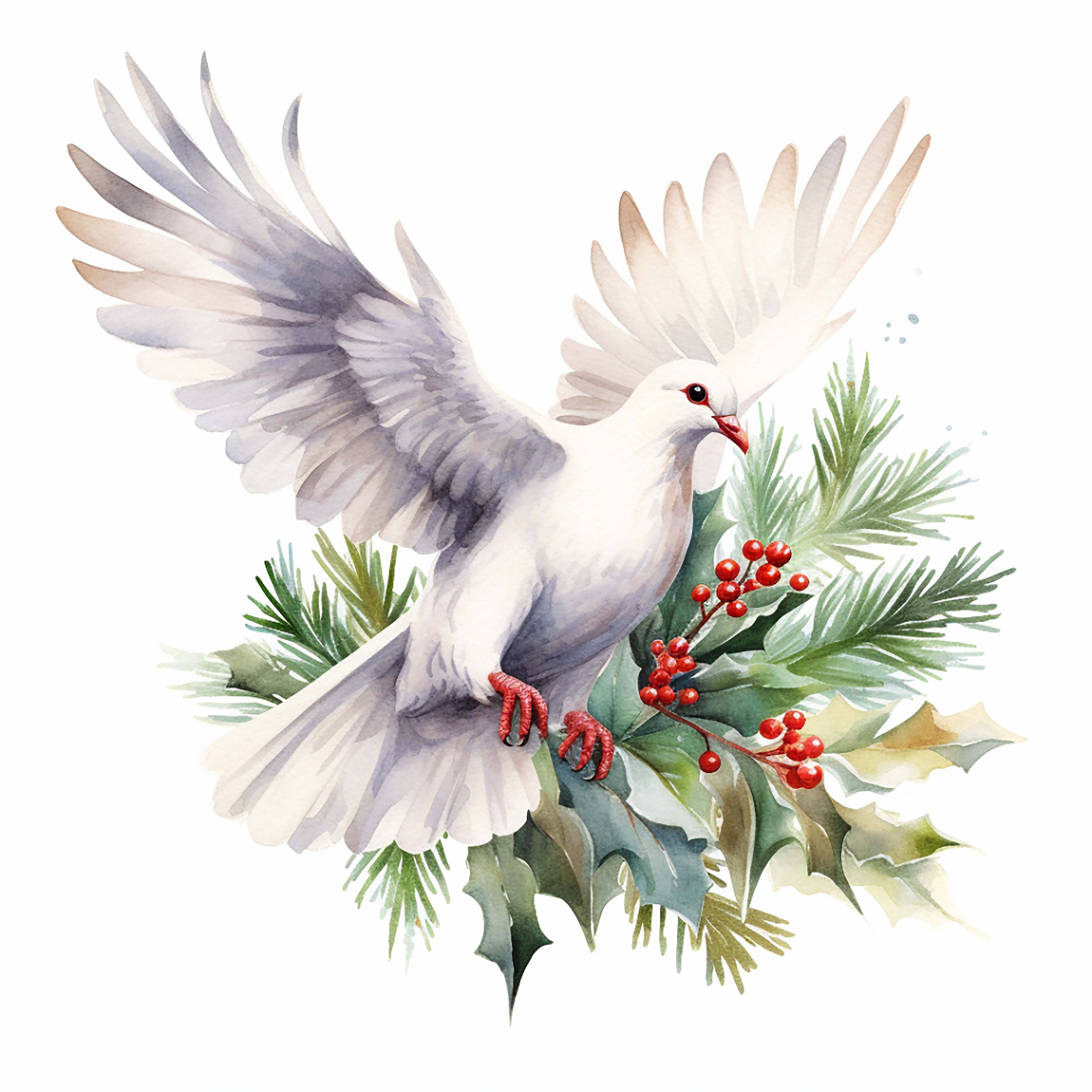 Watercolor Christmas White Dove Clipart Holiday Clipart - Etsy
