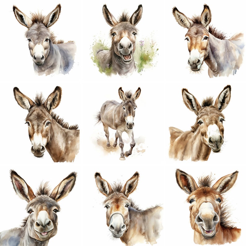 Happy Donkey Clipart High Quality PNG Farm Animal Clipart - Etsy