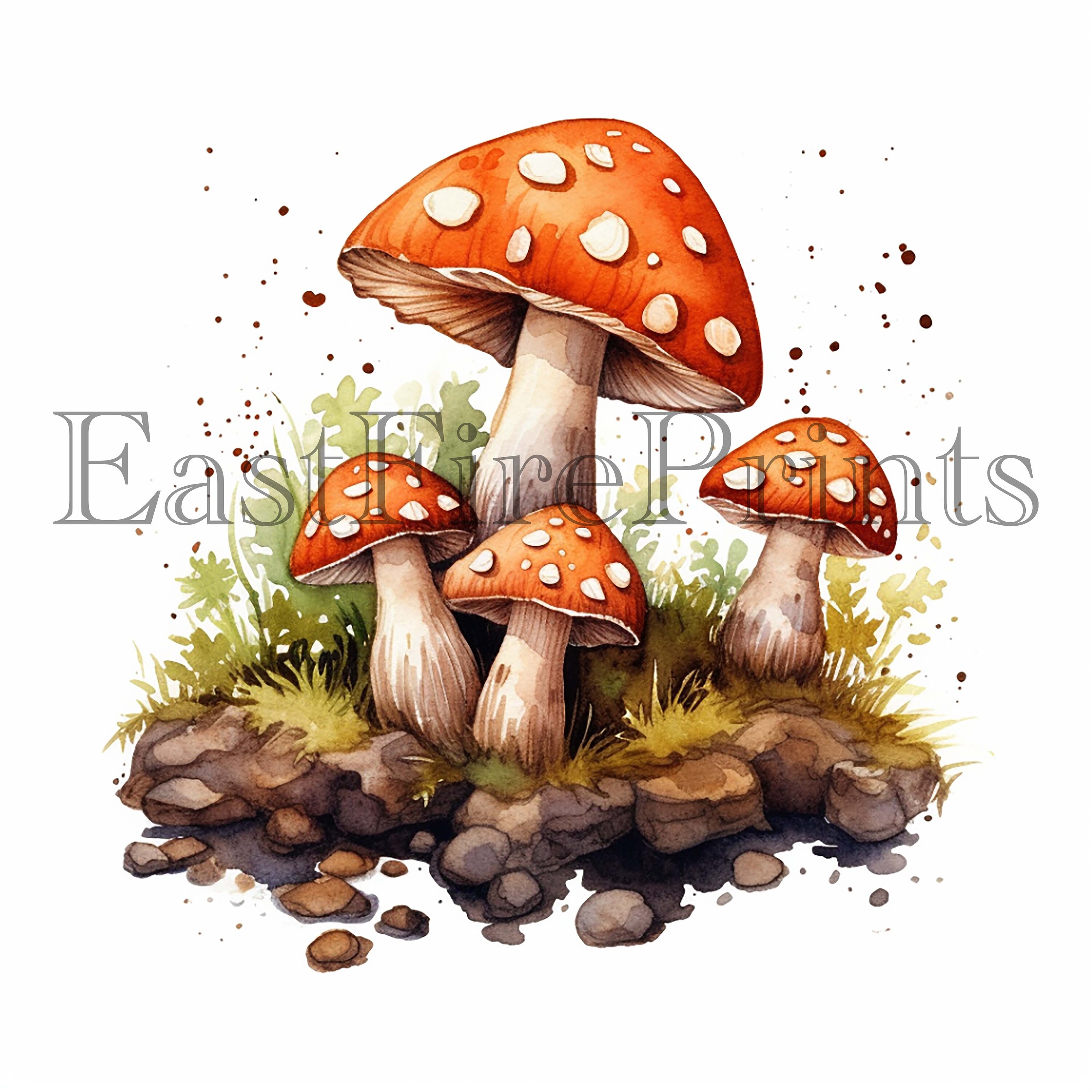 19 Watercolor Mushroom Clipart PNG Cute Forest Nature - Etsy