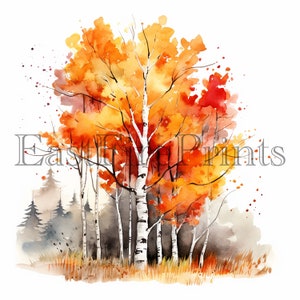 Watercolor Fall Birch Trees Clipart PNG, Autumn Birch Tree Forest Clip ...