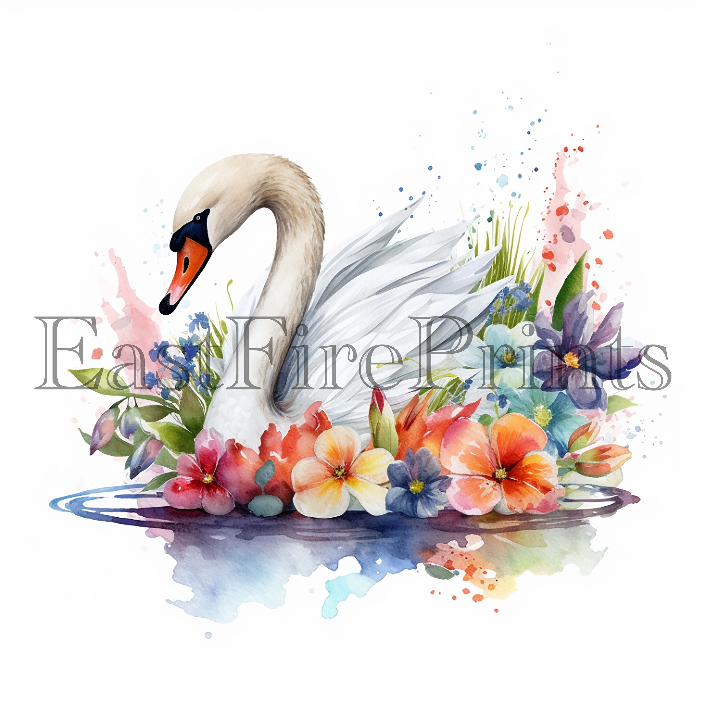 20 Watercolor Swan Clipart PNG Baby Swan Bird Nursery - Etsy