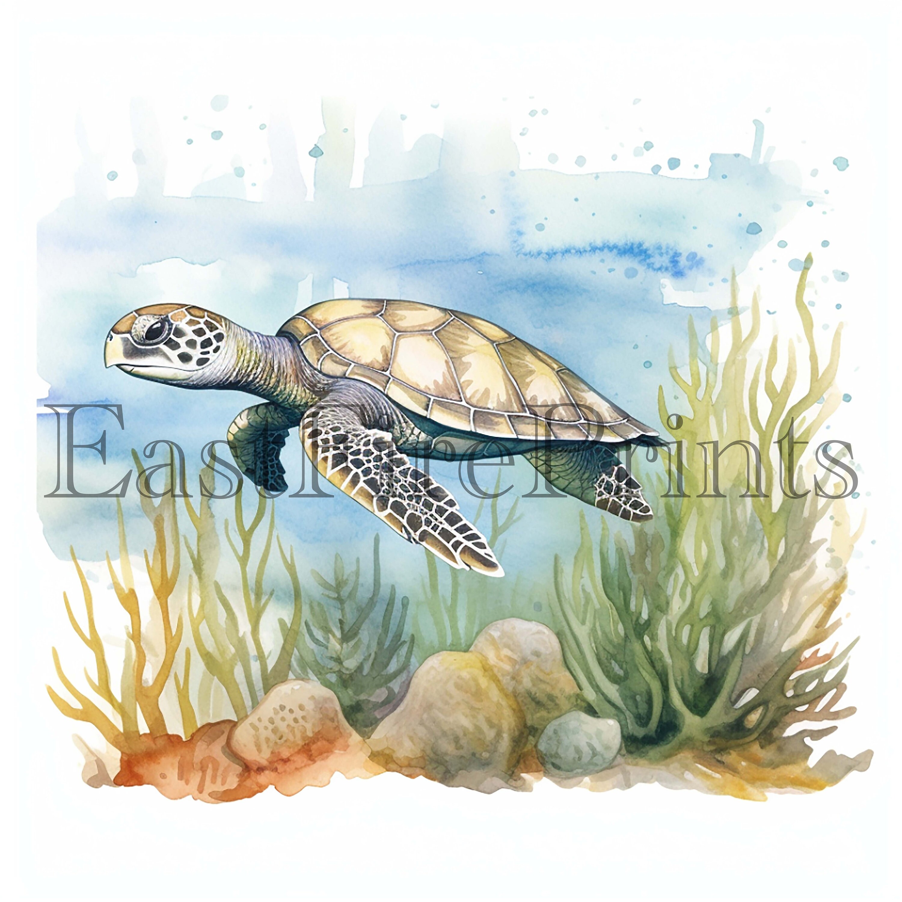 20 Watercolor Sea Turtle Clipart PNG Instant Download Cute - Etsy