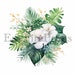20 Watercolor Monstera Clipart Set - Tropical Leaf PNG - Digital ...