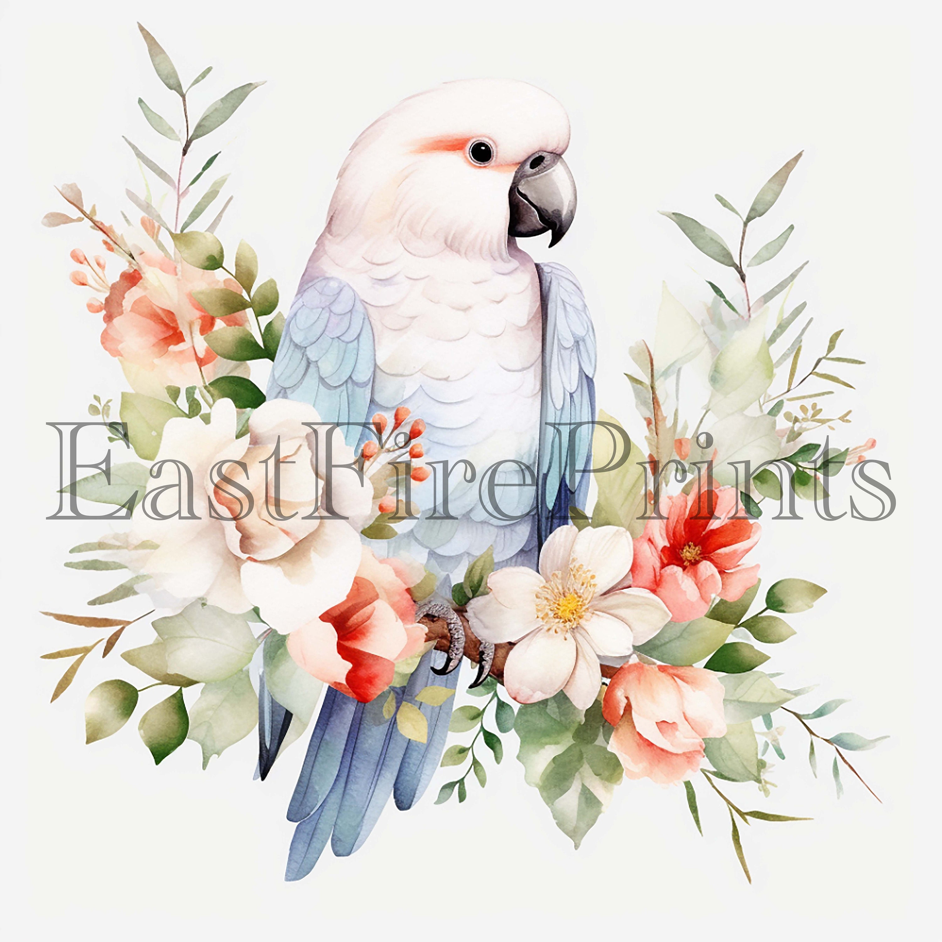Watercolor Parrot Clipart PNG Tropical Birds Clip Art With - Etsy