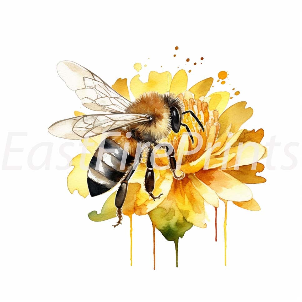 20 Watercolor Honeybee Clipart Bundle Bee Illustrations - Etsy
