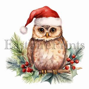 20 Christmas Cute Owl Watercolor Clipart, High Quality Png, Cute Xmas ...