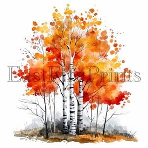 Watercolor Fall Birch Trees Clipart PNG, Autumn Birch Tree Forest Clip ...