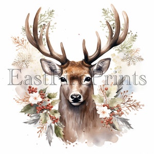Watercolor Reindeer Clipart PNG Files, Christmas Deer Clip Art , Winter ...