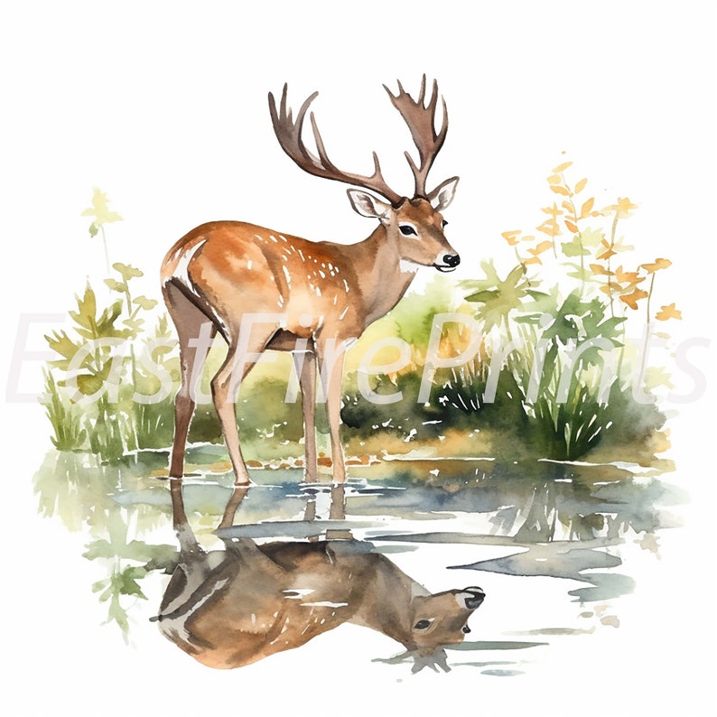 20 Watercolor Deer Clipart Bundle Little Deer Cute Deer PNG - Etsy