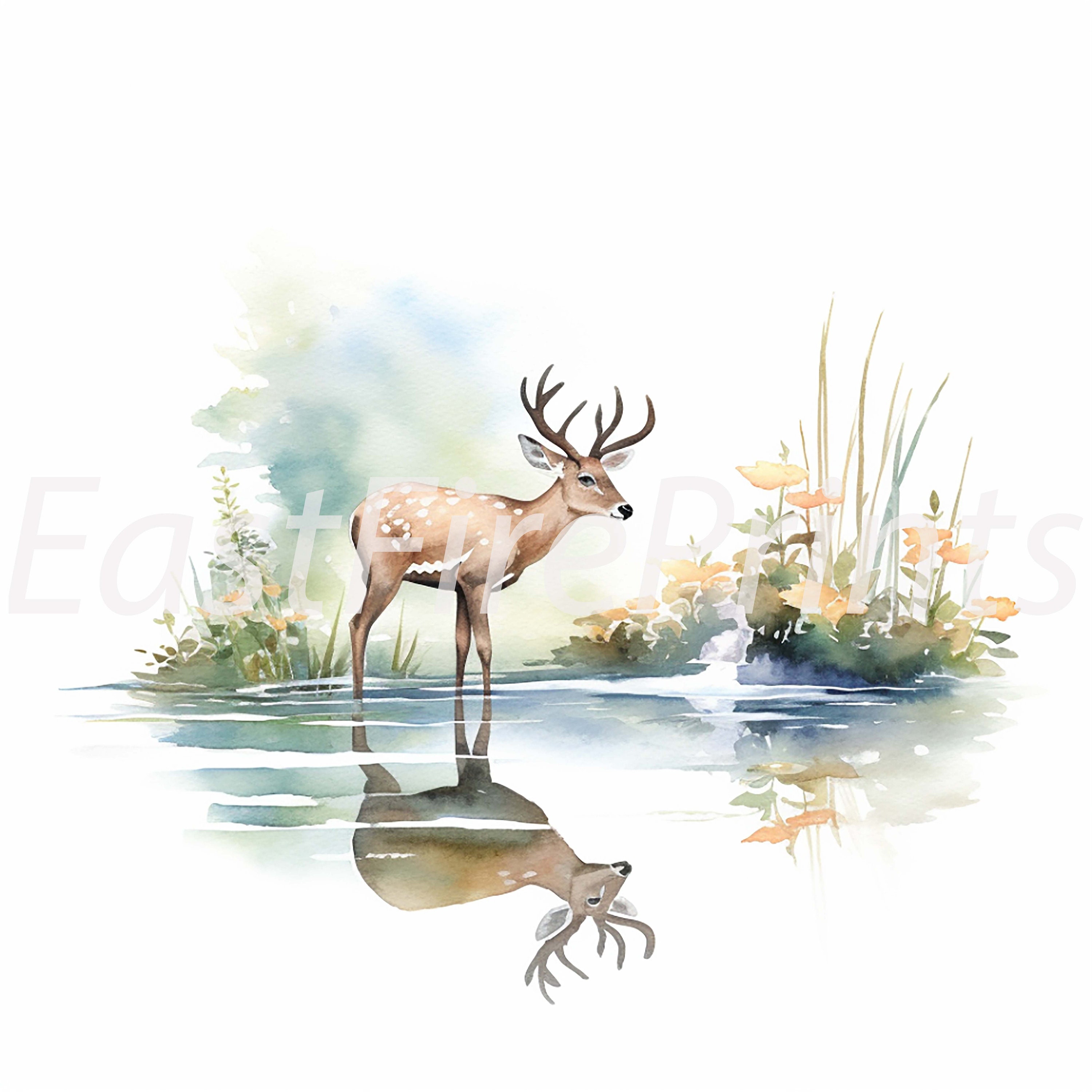 20 Watercolor Deer Clipart Bundle Little Deer Cute Deer PNG - Etsy