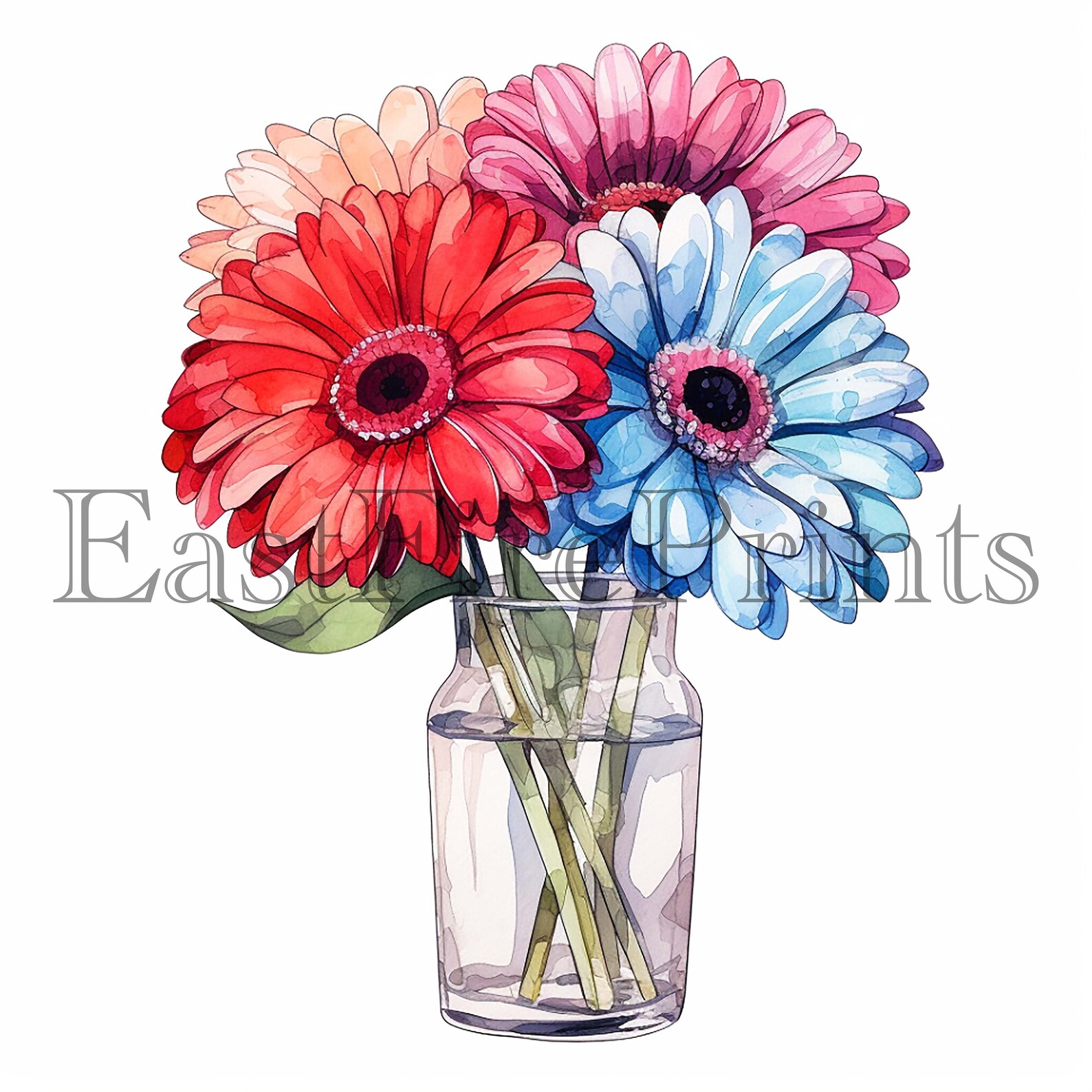 Watercolor Gerbera Clipart PNG Floral Spring Clip Art - Etsy