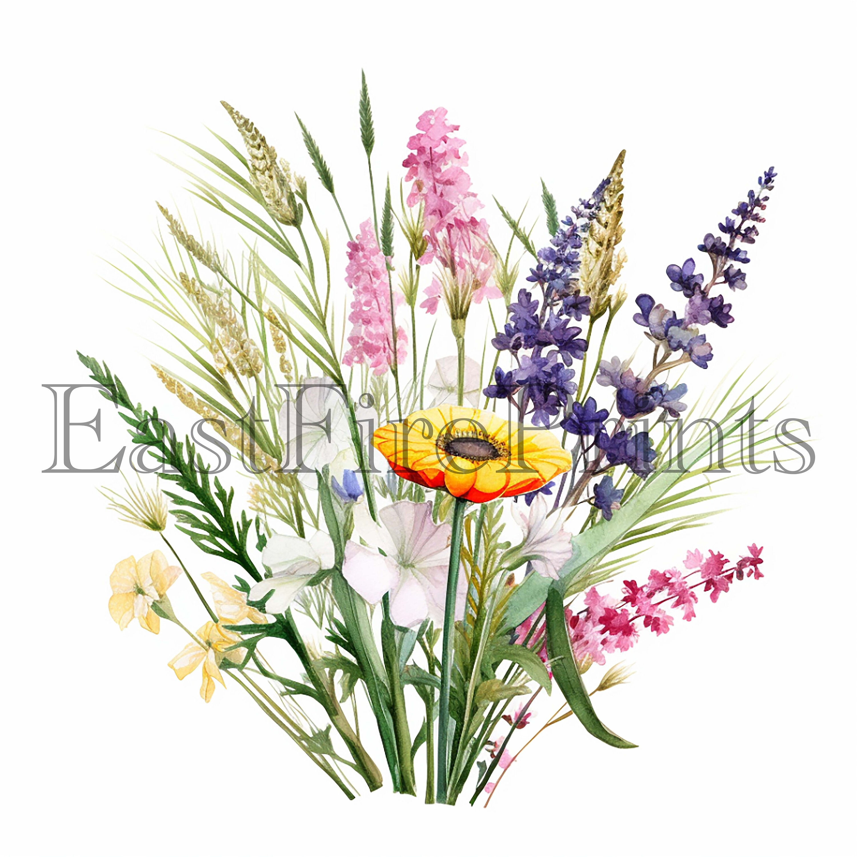 Watercolor Wildflowers Clipart High Quality Png Floral - Etsy