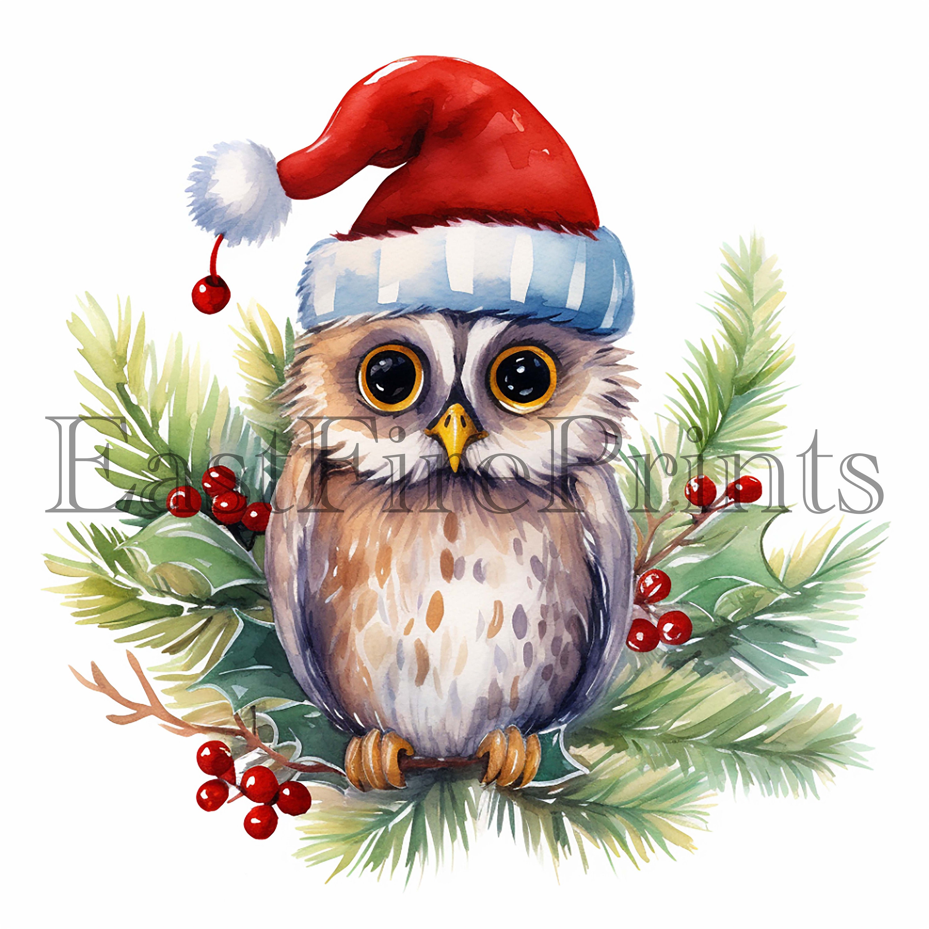 Watercolor Christmas Owl Clipart High Quality Png Cute Owl - Etsy