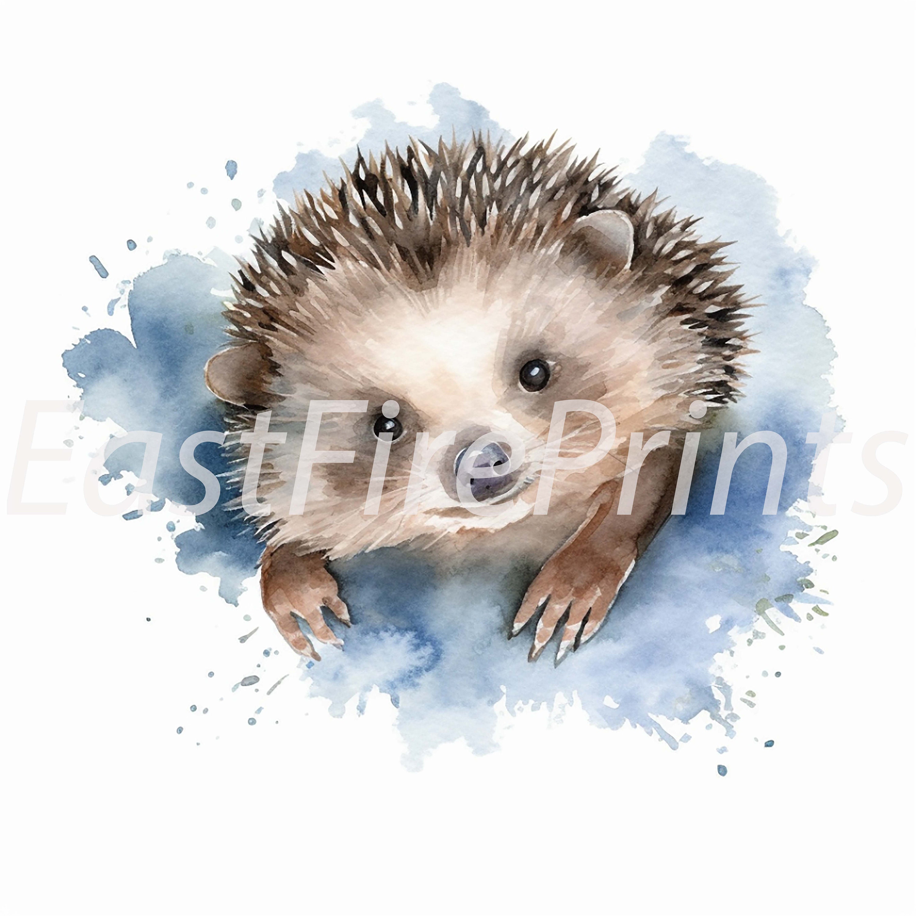 20 Watercolor Hedgehog Clipart Bundle Hedgehog Wall Art - Etsy