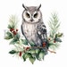 Watercolor Cute Winter Owls Clipart PNG, Christmas and Winter Clip Art ...
