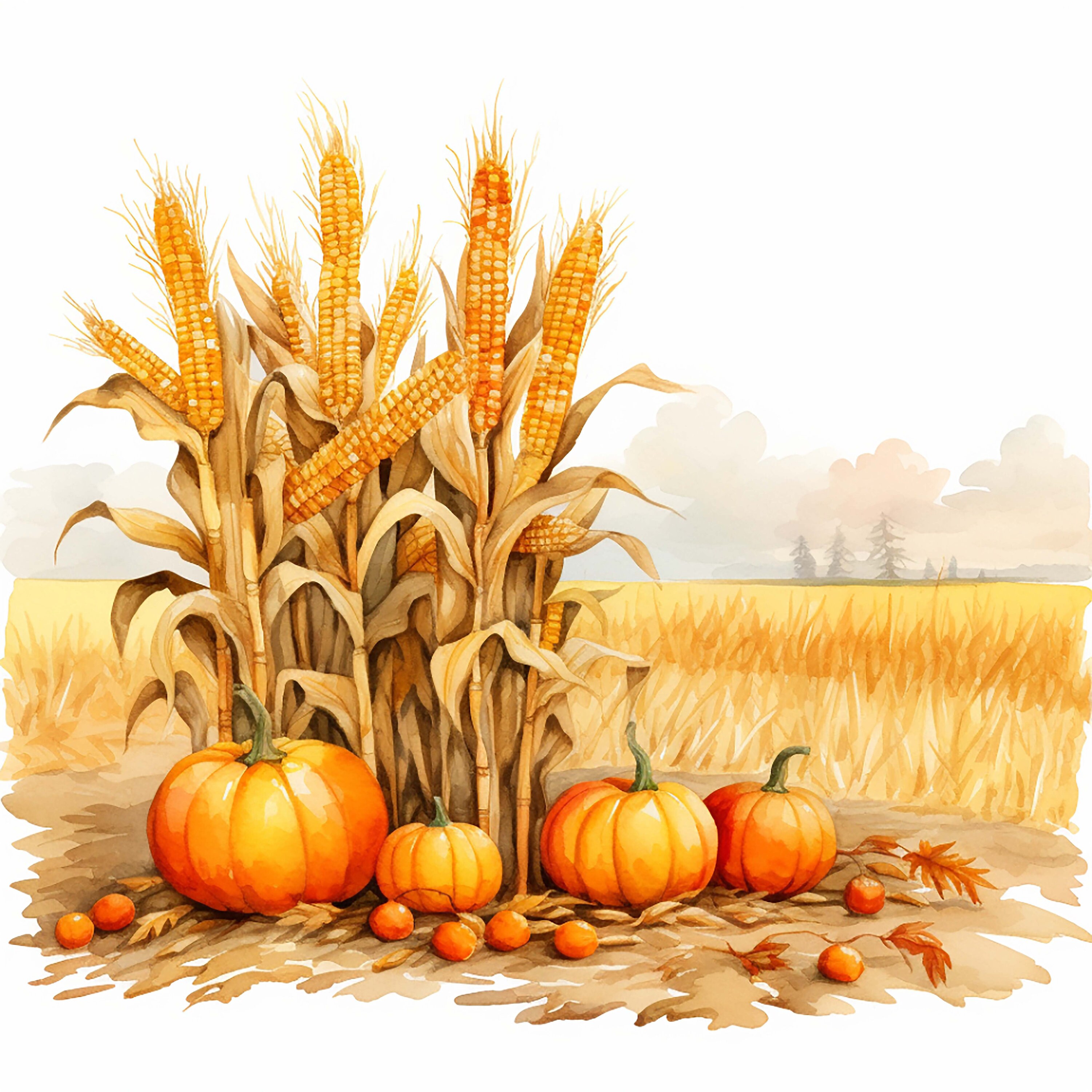 Corn Clipart High Quality Png Autumn Sublimation Fall - Etsy