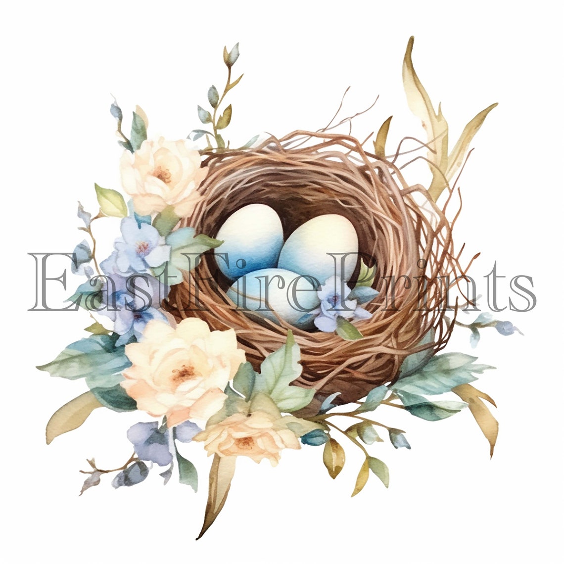 Watercolor Bird Nests Clipart PNG Bird Clip Art Springtime - Etsy