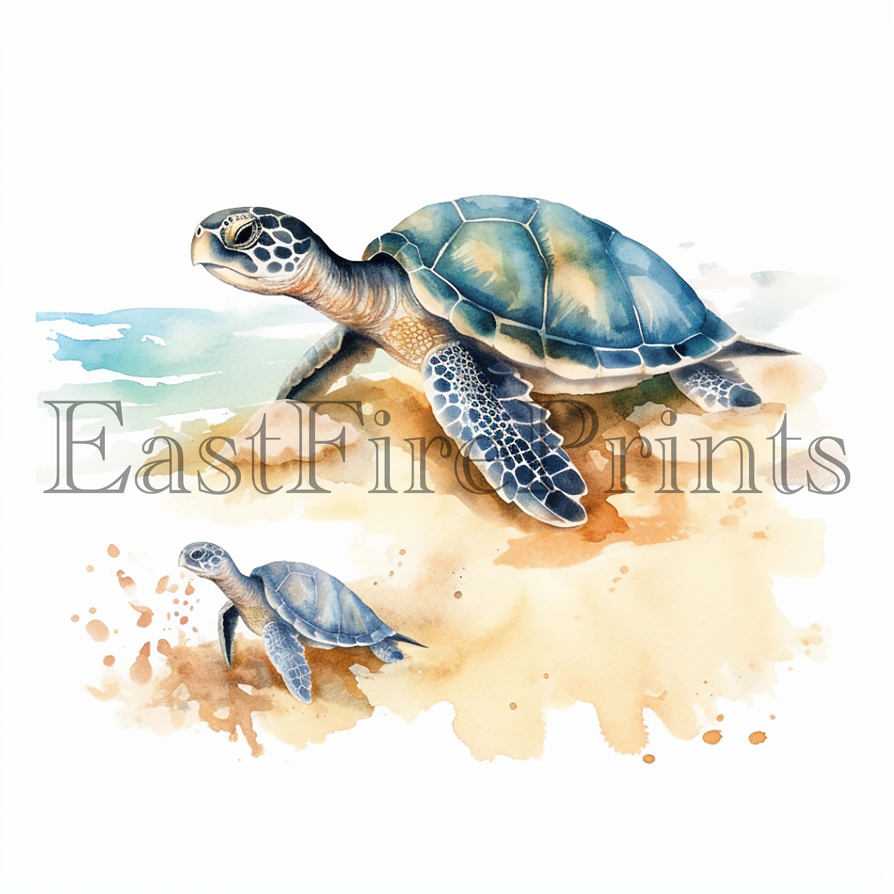 20 Watercolor Sea Turtle Clipart PNG Instant Download Cute - Etsy