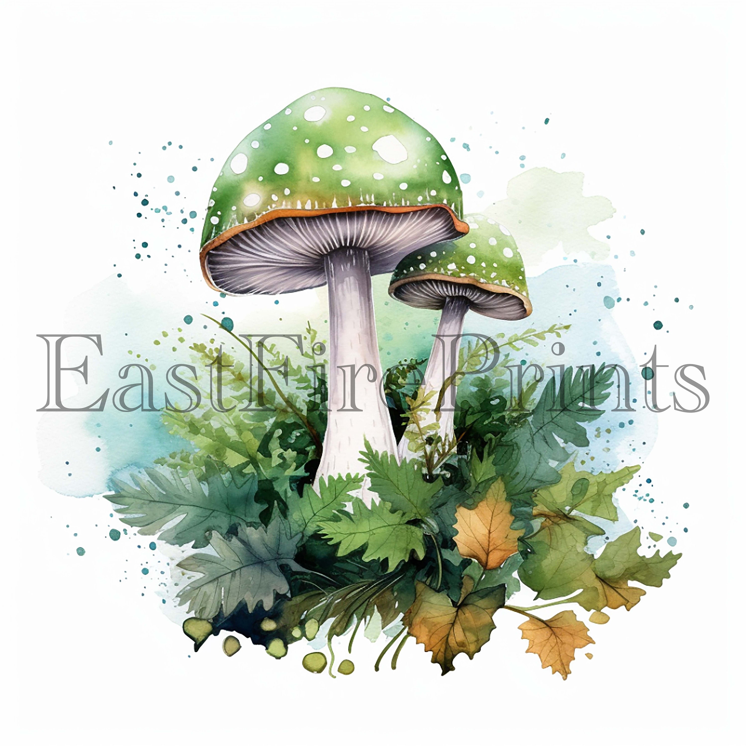19 Watercolor Mushroom Clipart PNG Cute Forest Nature - Etsy
