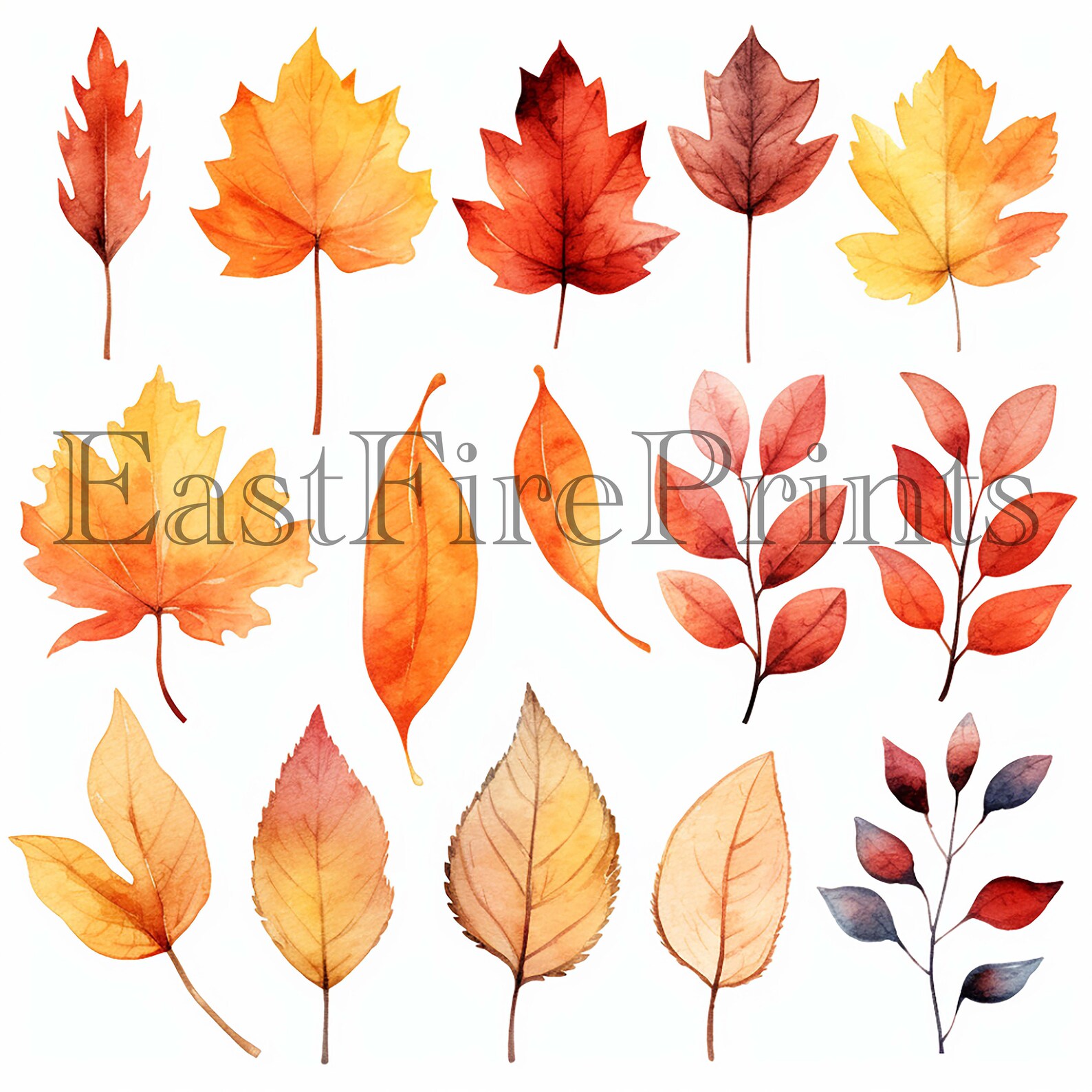 Watercolor Pumpkin Spice Clipart PNG Fall and Autumn Clip - Etsy