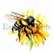 20 PNG Watercolor Bumble Bee Clipart Instant Download, Spring Bee Clip ...