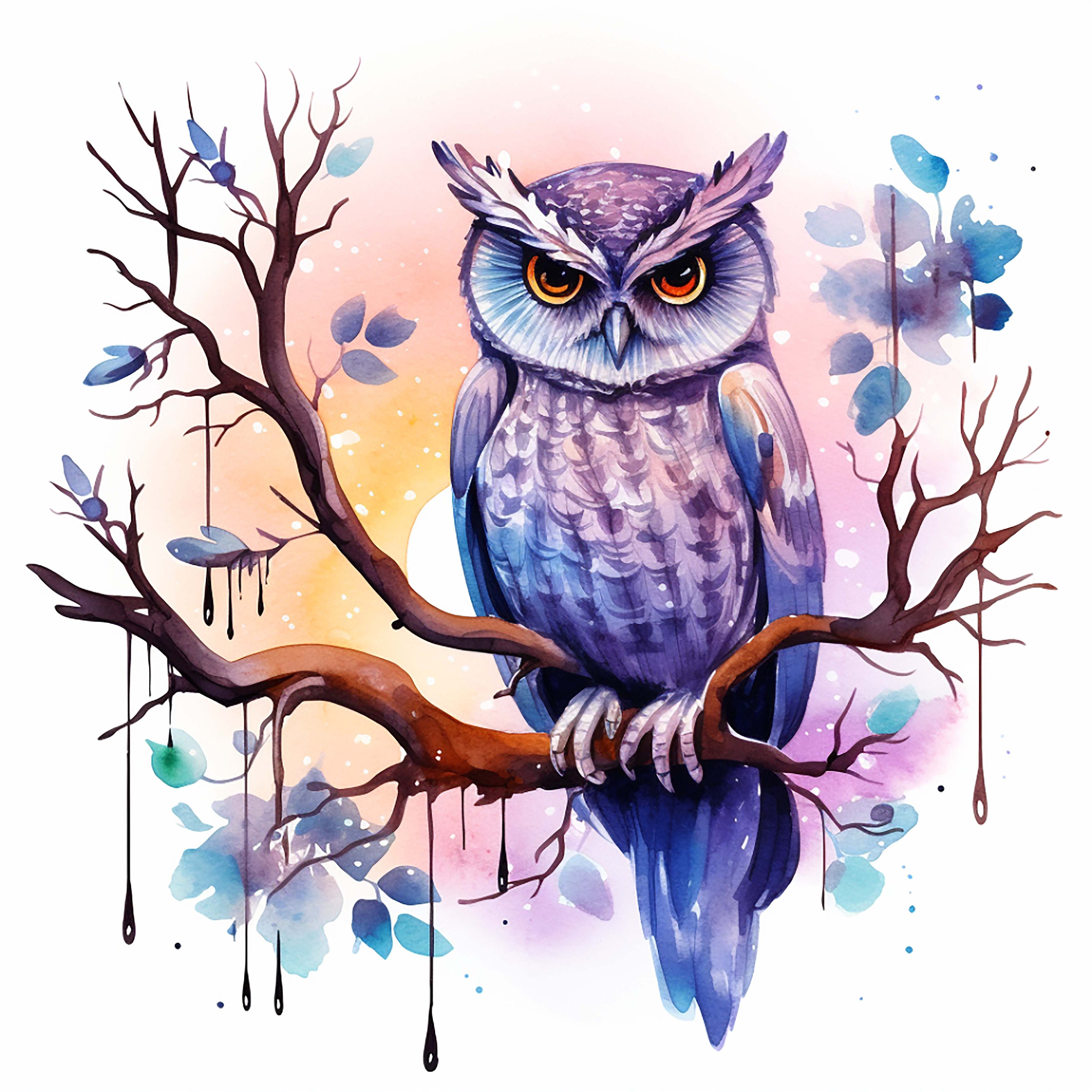 Watercolor Celestial Owl Clipart Galaxy Fantasy Owl Clip Art - Etsy