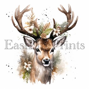 Watercolor Reindeer Clipart PNG Files, Christmas Deer Clip Art , Winter ...