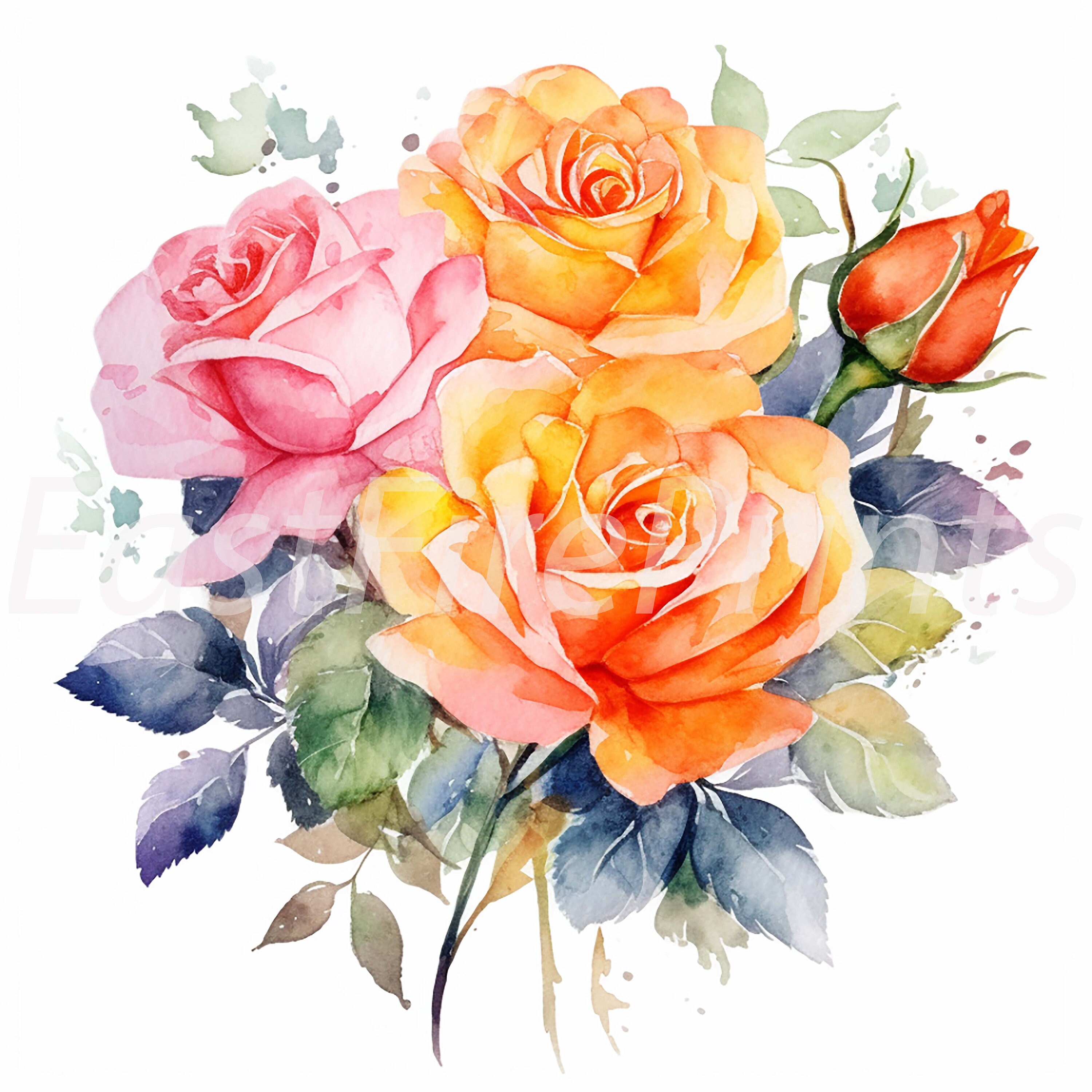 20 Watercolor Roses Bouquet Clipart Bundle Hand-painted - Etsy