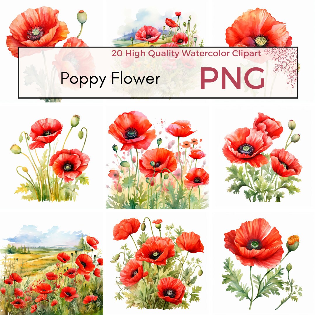 Poppy Clipart, High Quality PNG, Floral PNG, Poppy Flower Clipart ...