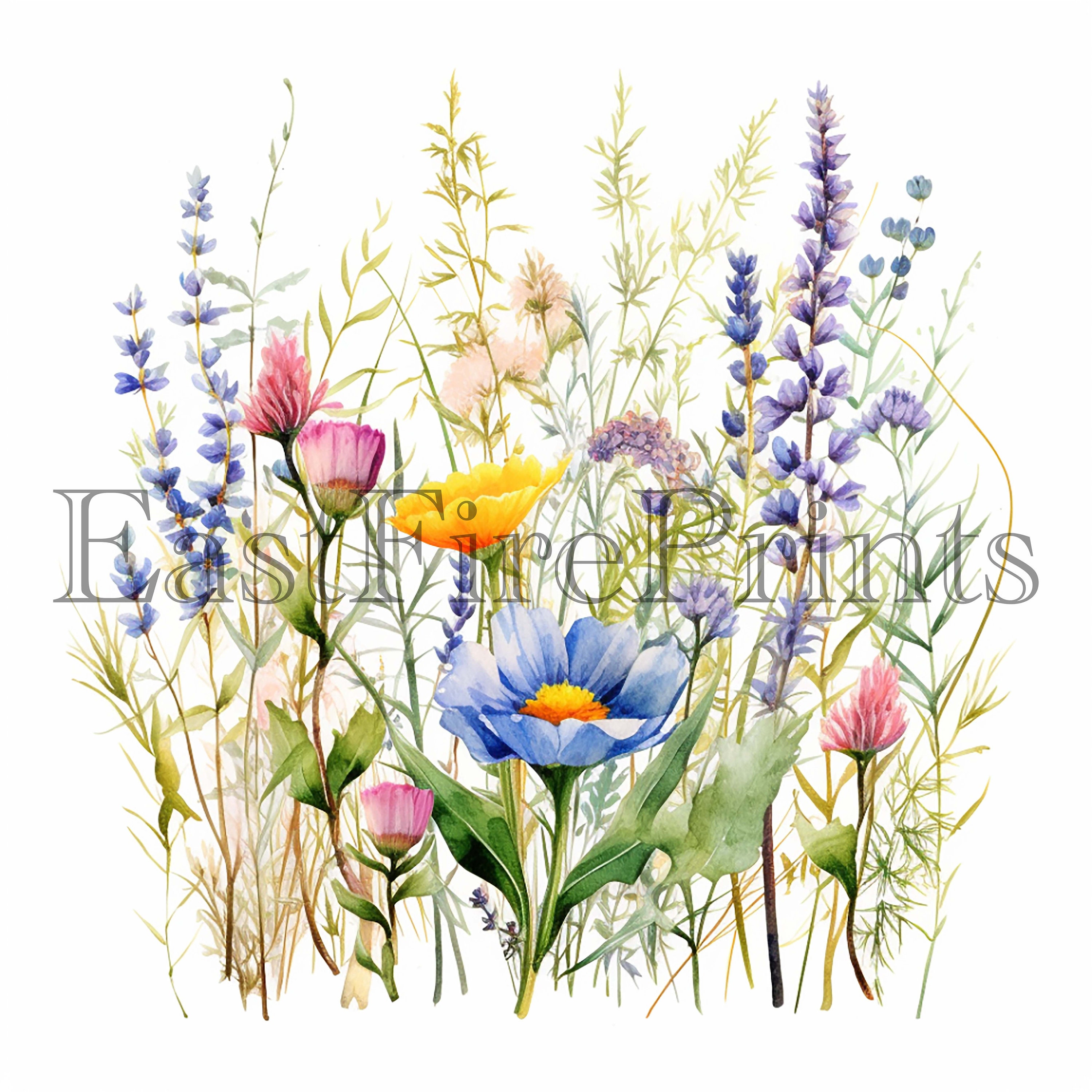 Watercolor Wildflowers Clipart High Quality Png Floral - Etsy