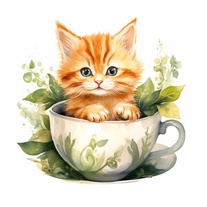 Orange Cat Clipart, High Quality PNG, Cute Kitten Clipart, Cat ...