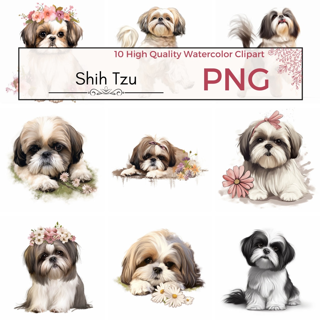 Set of 10 - Shih Tzu Clipart, Dog Illustrations, Card Making, Dog ...